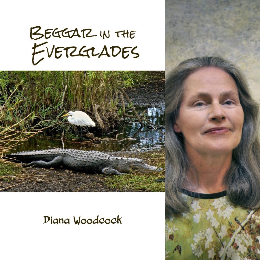 Palace of Twigs by Diana Deering – Finishing Line Press