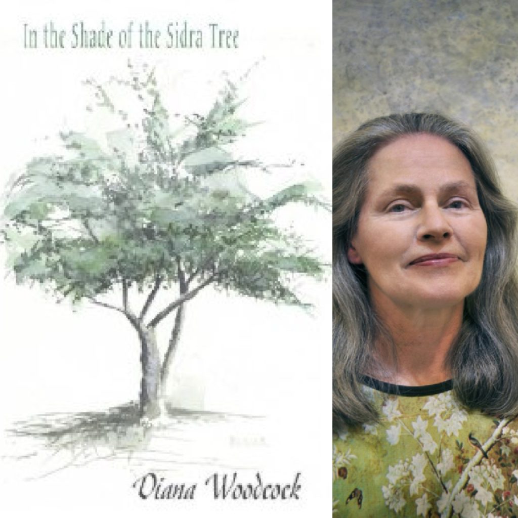 Palace of Twigs by Diana Deering – Finishing Line Press