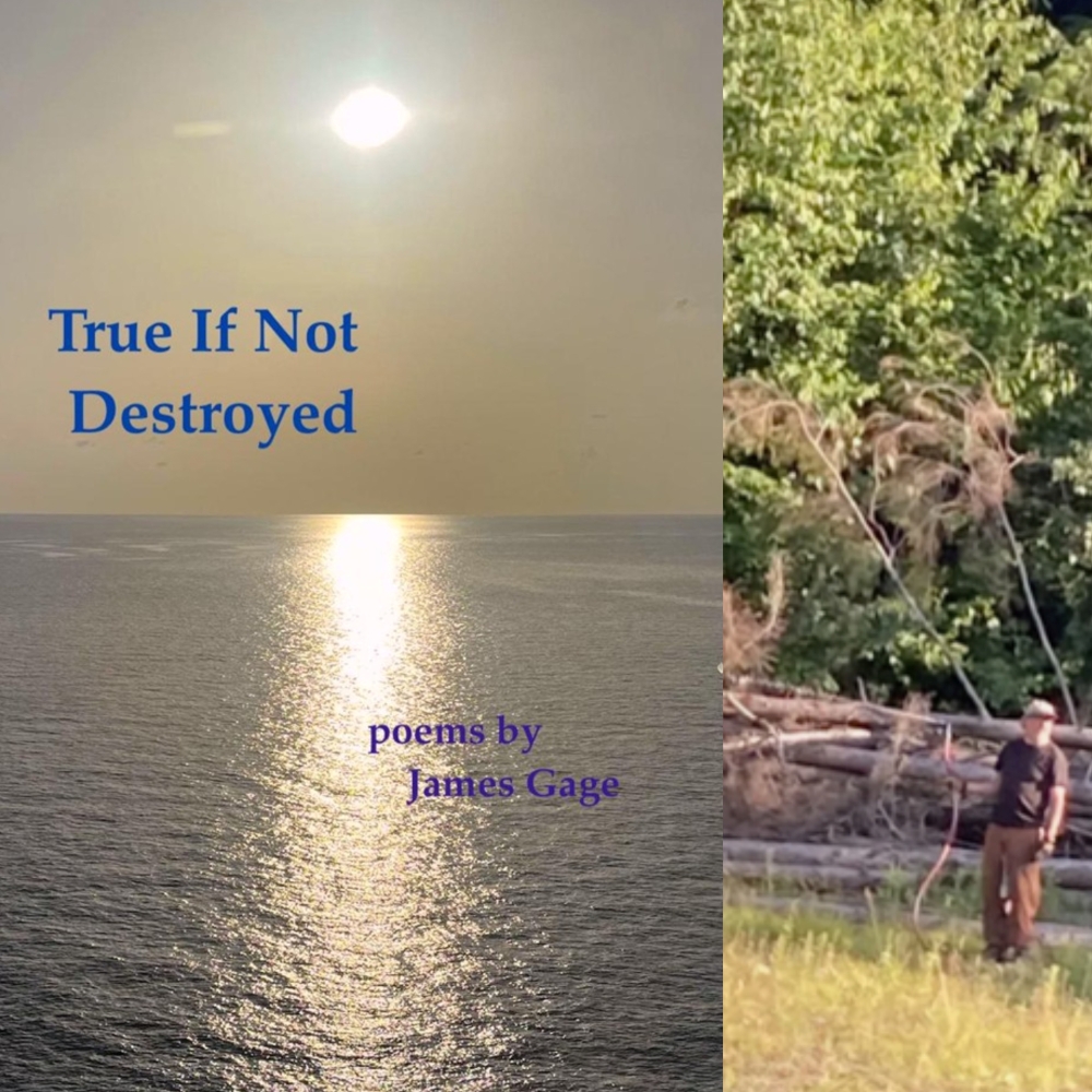 True If Not Destroyed by James Gage – Finishing Line Press